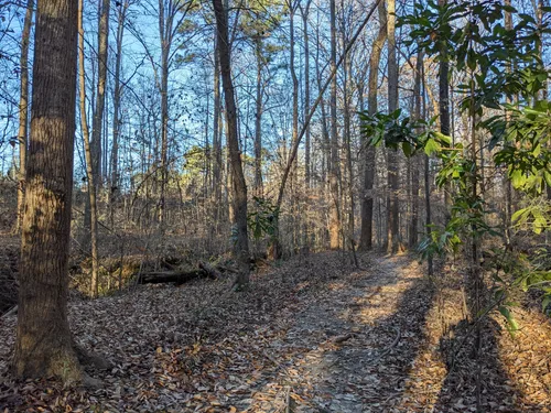 Best Hikes and Trails in Garner Recreation Park | AllTrails