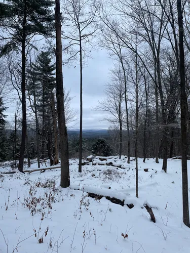 Best Hikes and Trails in Balch Hill Natural Area | AllTrails