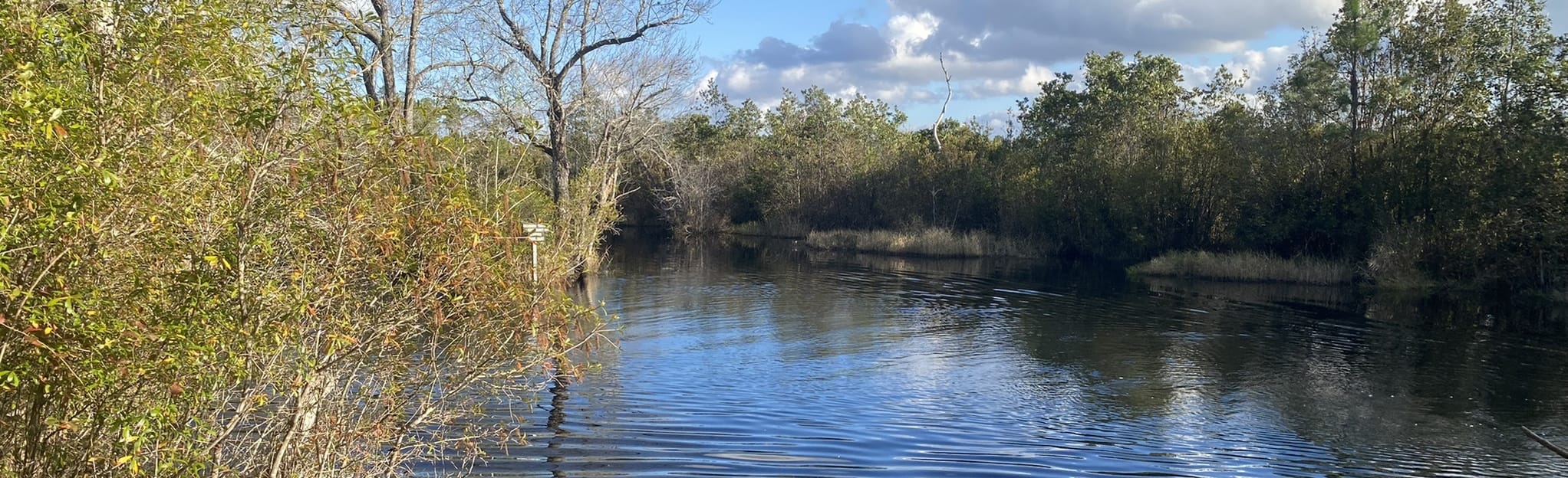 Cane Pole Trail, Georgia - 47 Reviews, Map | AllTrails