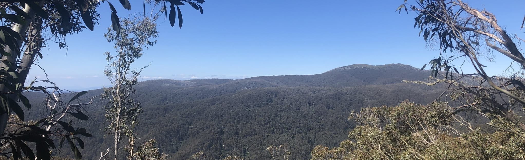 Mirimbah to Mount Buller via Delatite River Trail, Victoria, Australia ...
