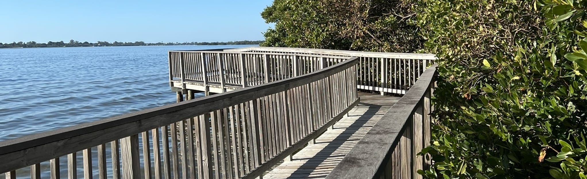 Lemon Bayshore Trail: 44 Reviews, 47 Photos, Map - Florida | AllTrails