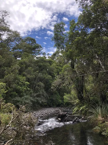 10 Best Trails and Hikes in Ohakune | AllTrails