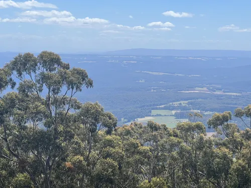 10 Best Hikes and Trails in Yarra Ranges National Park | AllTrails