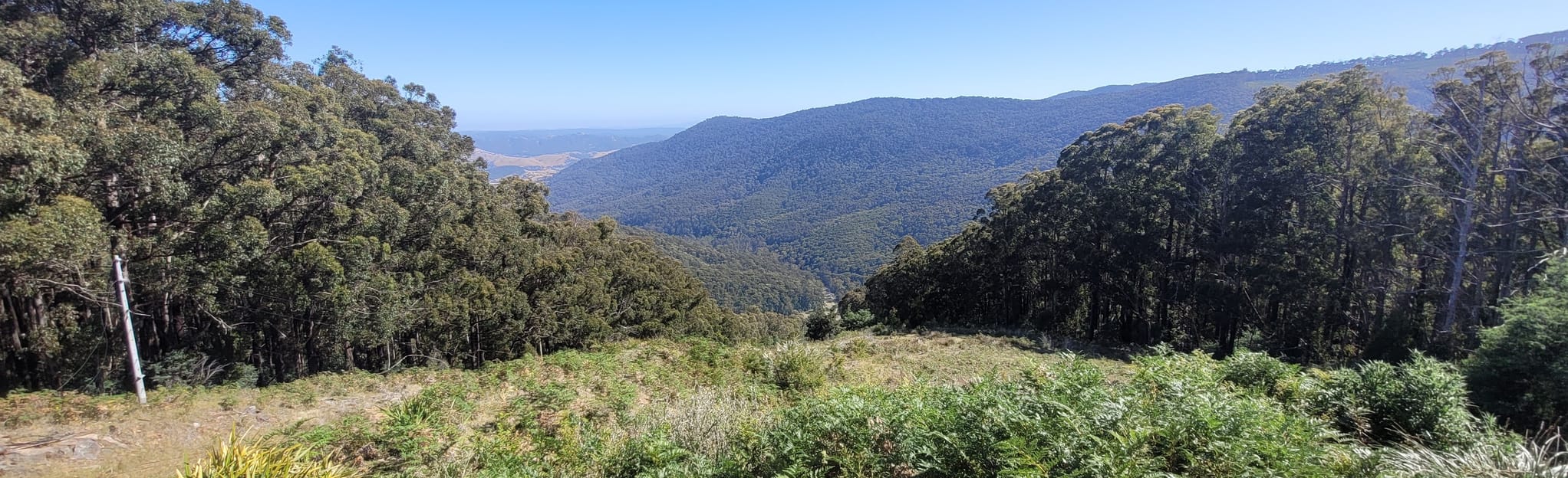 Rubicon Railway Circuit: 60 Reviews, Map - Victoria, Australia | AllTrails