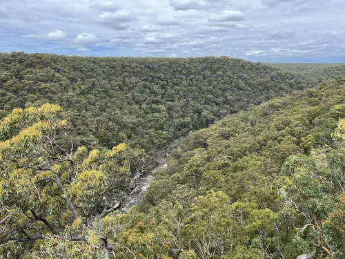 10 Best Forest Trails in Dharawal National Park | AllTrails