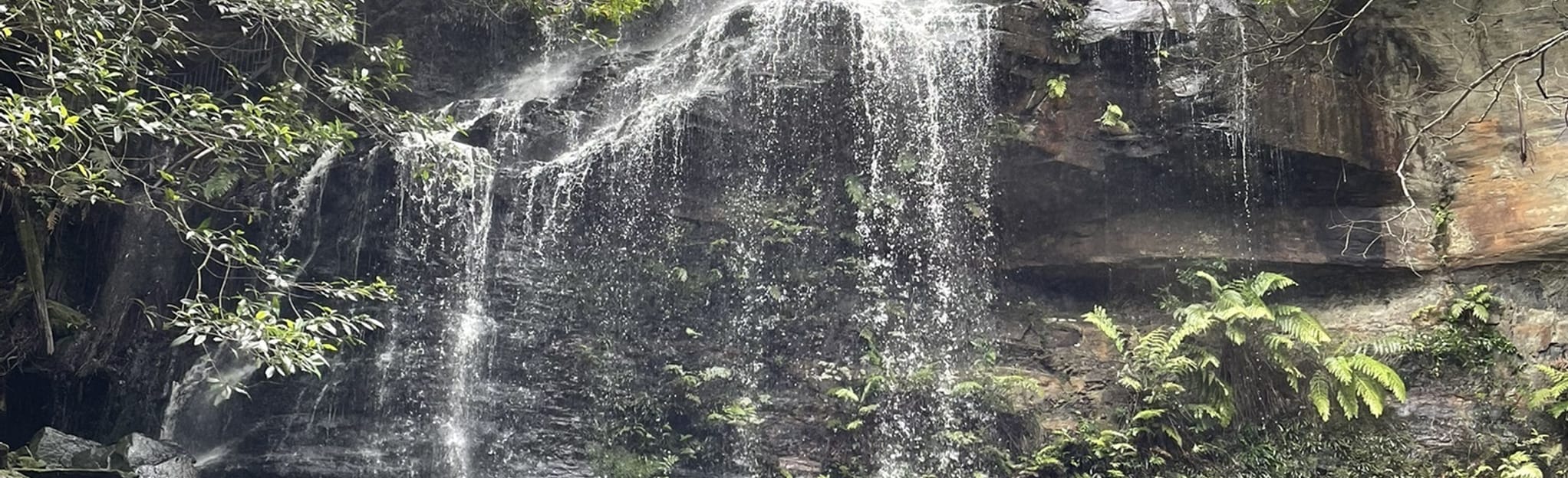 Erith Falls via Erith Coal Mine Track: 21 Reviews, Map - New South ...