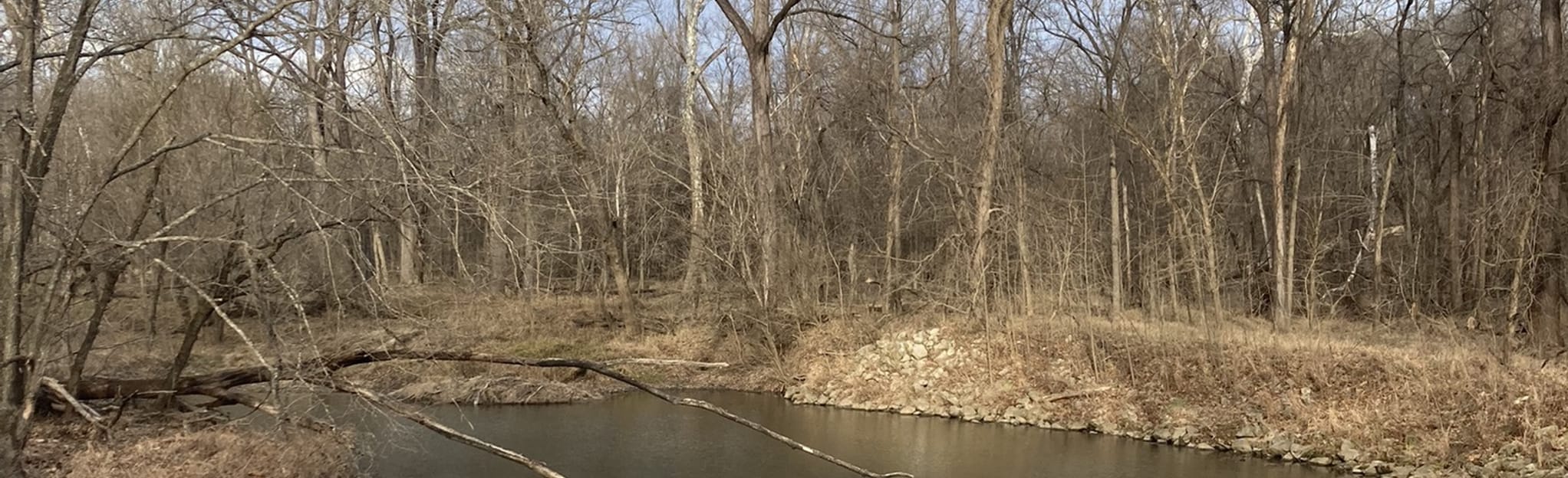 Springbrook Trail and Deer Run Trail Loop, Missouri - 250 Reviews, Map ...