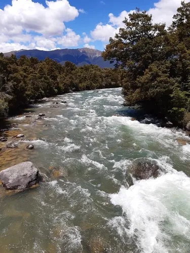 2023 Best Trails near Ariki Falls | AllTrails