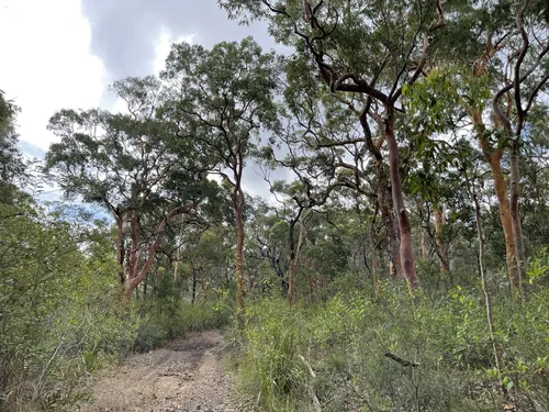 Best Hikes and Trails in Crangan Bay | AllTrails