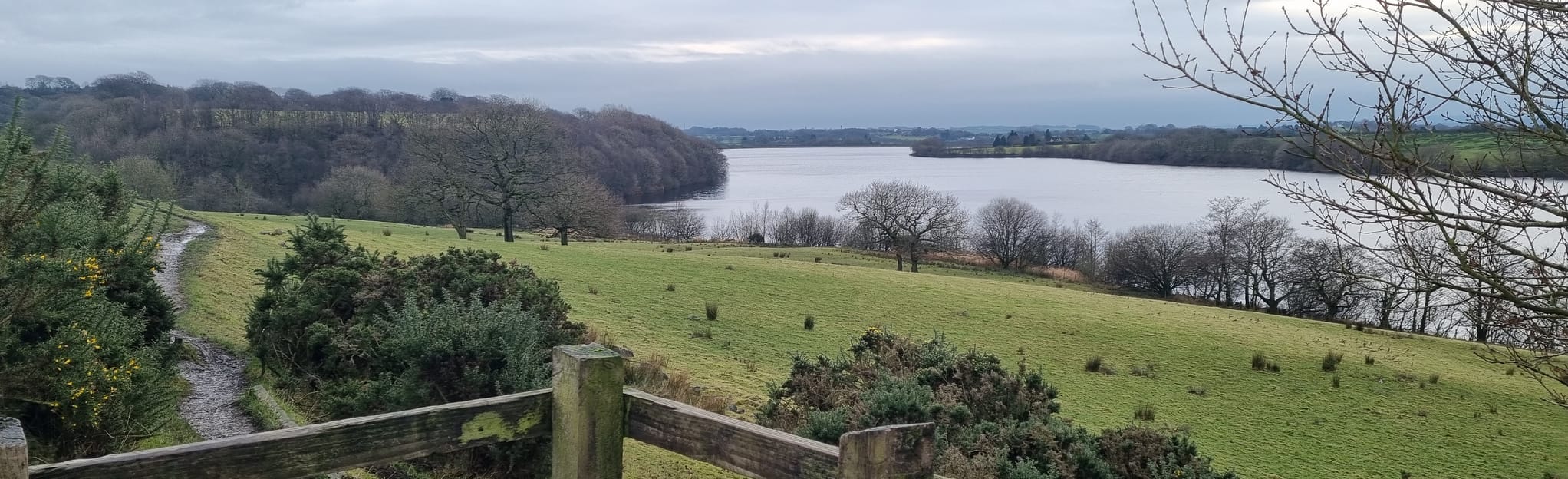 White Coppice, Anglezarke Reservoir and the Woodland Trail Circular: 1. ...