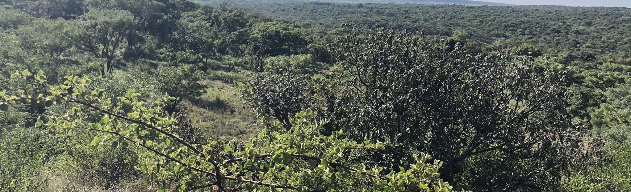 Moepel - Day Trail, Limpopo, South Africa - 2 Reviews, Map | AllTrails