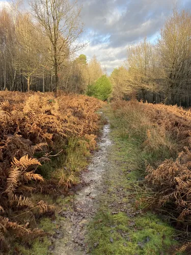 Best City Walk Trails in High Weald National Landscape (AONB) | AllTrails