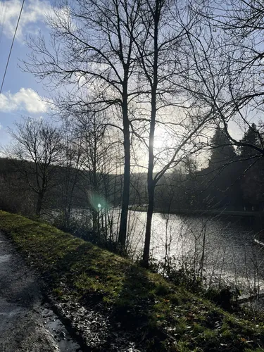 Parc naturel Haute-Sûre Forêt d'Anlier : les 10 meilleures randonnées ...