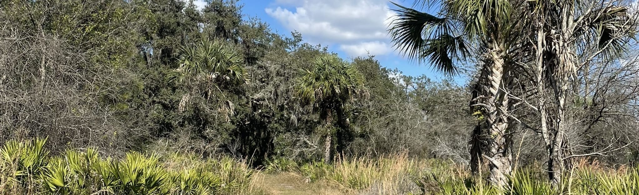 Fish Hawk Nature Preserve South Loop: 61 Fotos - Florida | AllTrails