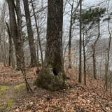 Lost Spring Trail, Tennessee - 80 Reviews, Map | AllTrails