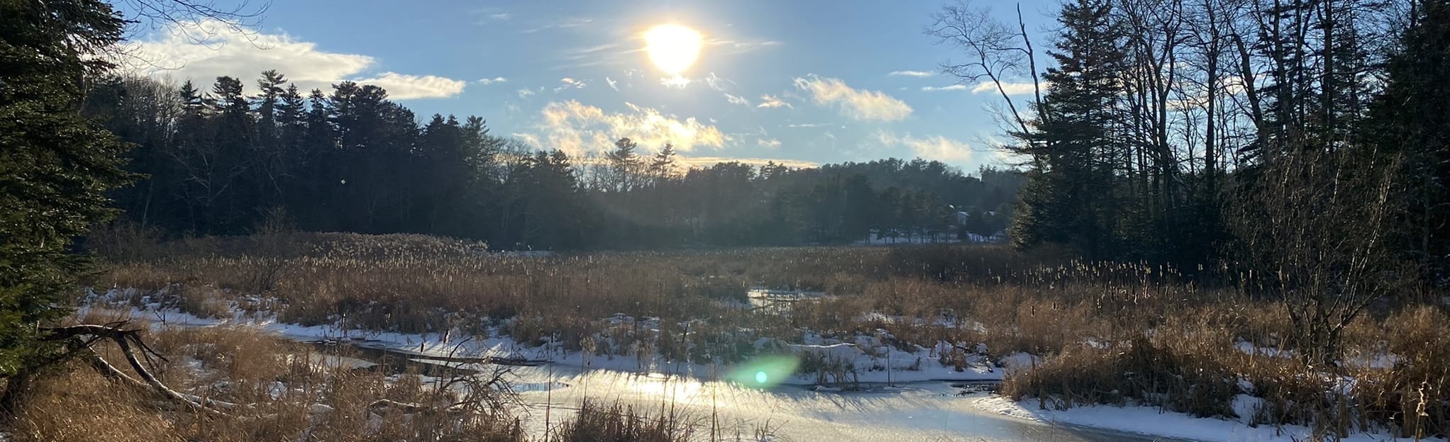 Penny Lake Preserve, Maine - 19 Reviews, Map | AllTrails