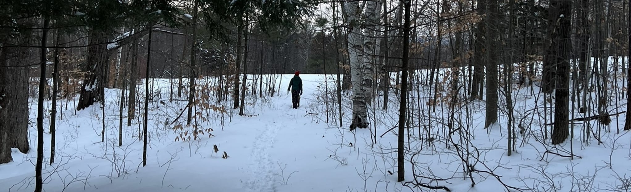 Allegra's Field, North Loop, and Hansy's Loop Trail, New Hampshire - 5 ...