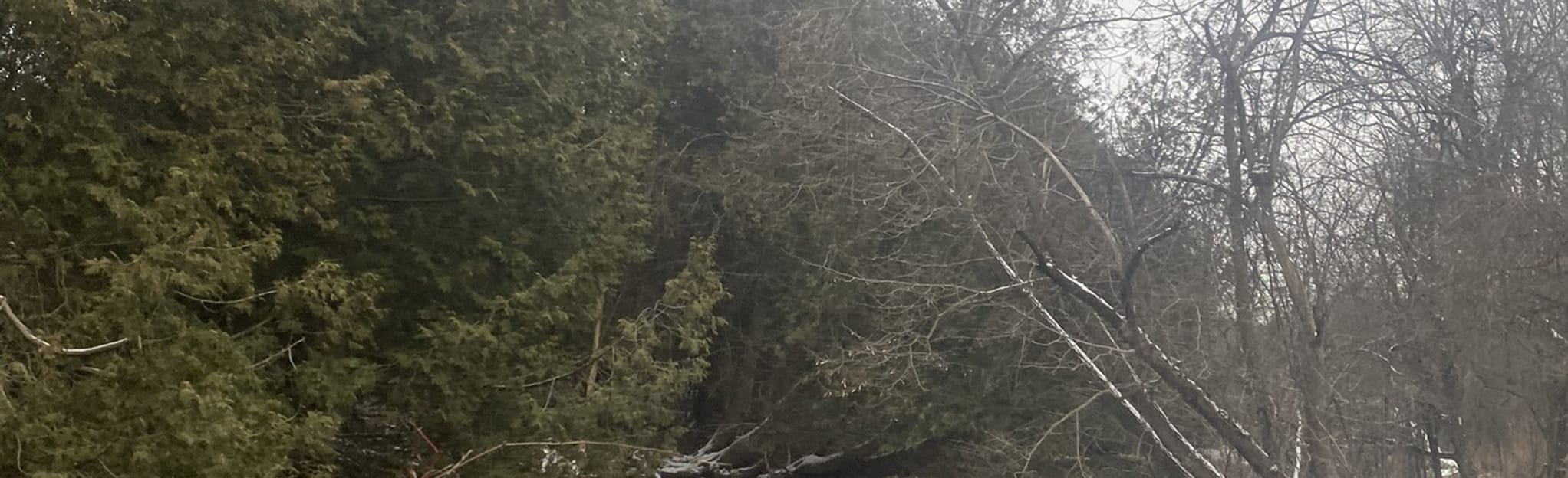 Grand Valley Trail - Winterbourne Section, Ontario, Canada - 22 Reviews ...