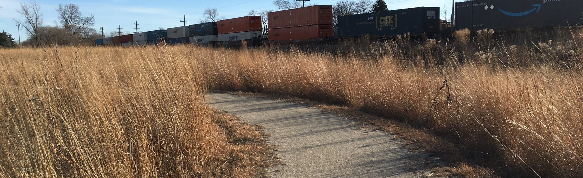 Chicago Ridge Prairie Loop, Illinois - 3 Reviews, Map | AllTrails