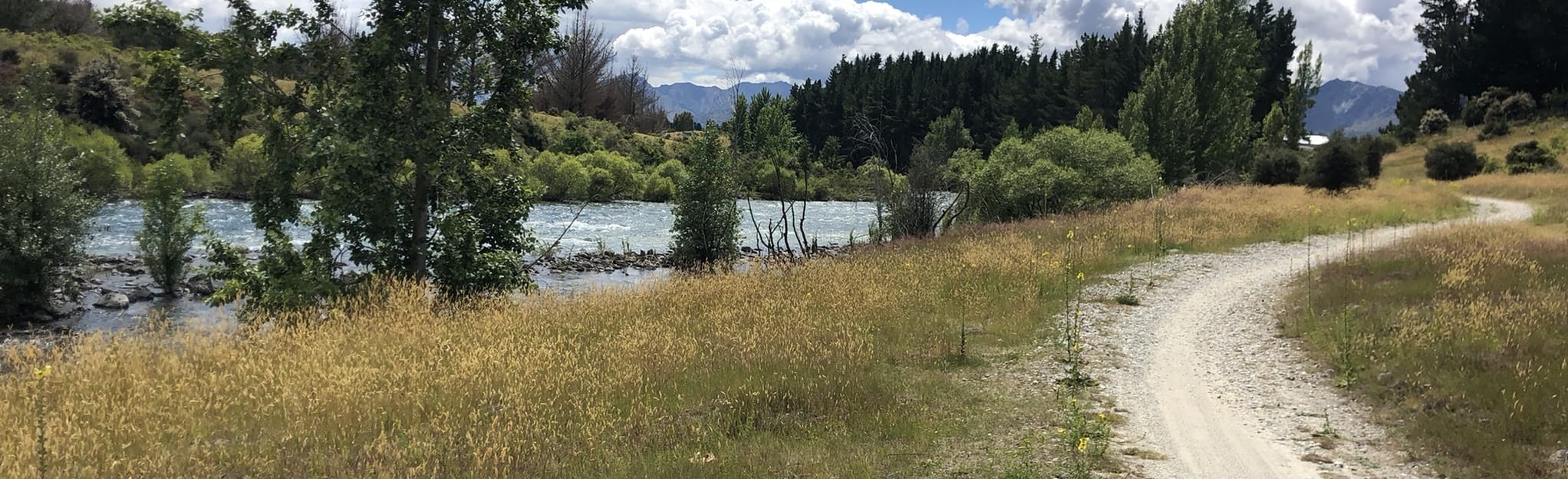 Hawea River Track to The Wave, Otago, New Zealand - 10 Reviews, Map ...