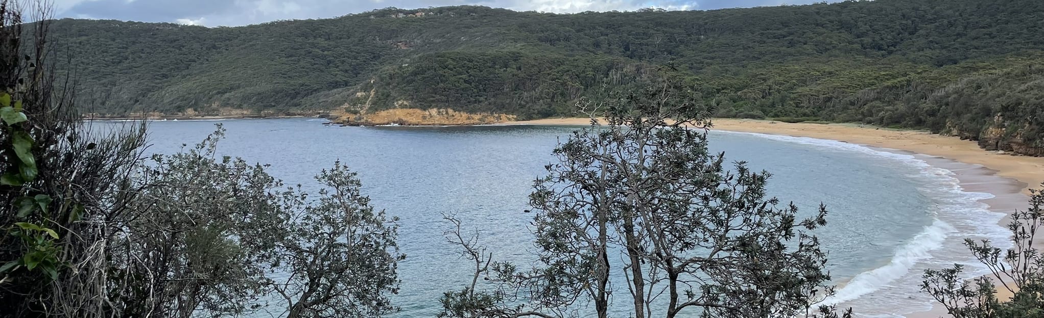 Bouddi Coastal Walk to Mount Bouddi Track: 937 foto's - Nieuw-Zuid ...