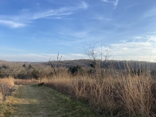 10 Best Hikes and Trails in Rock Bridge Memorial State Park | AllTrails