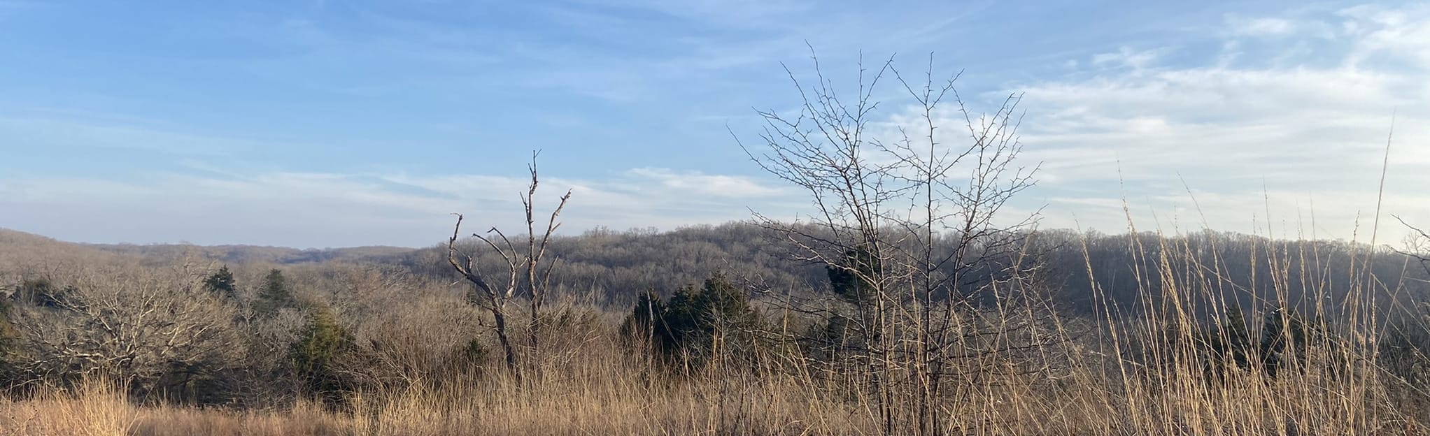 High Ridge Trail, Missouri - 254 Reviews, Map | AllTrails