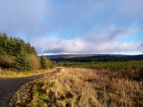 10 Best River Trails in Sperrins National Landscape (AONB) | AllTrails