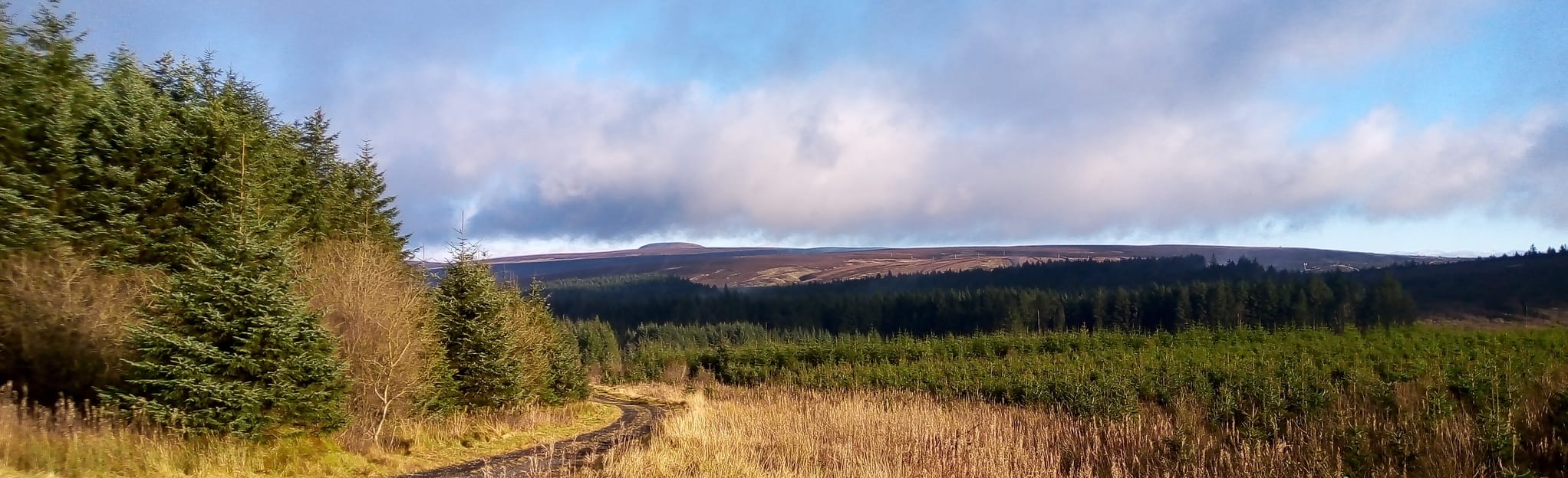 Glenshane Forest Circular: 51 Reviews, Map - Mid Ulster, Northern ...