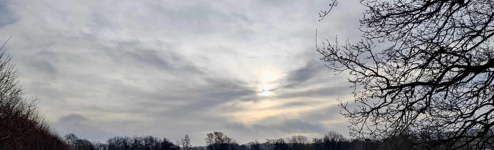 Denne Hill Circular : 91 photos - Sussex de l'Ouest, Angleterre | AllTrails