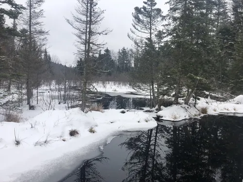 10 Best Hikes and Trails in Jessup River Wild Forest | AllTrails