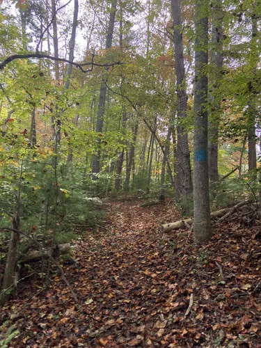 Best Hikes and Trails in Salthouse Branch Park | AllTrails