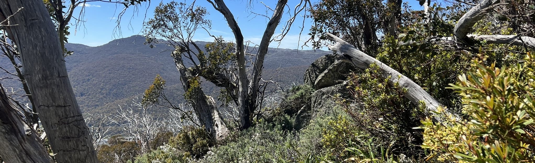 Merritt’s Nature Trail via Meadow’s Nature Track: 12 Reviews, Map - New ...