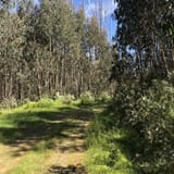 Lake Mountain and Keppel Hut Loop, Victoria, Australia - 76 Reviews ...