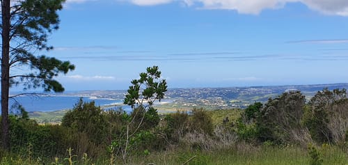 2023 Best 10 Moderate Trails in Bitou NU | AllTrails