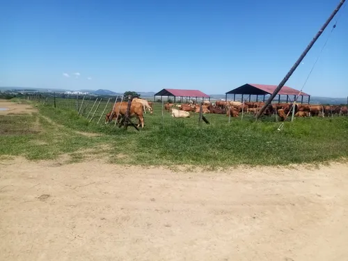 Best Hikes and Trails in Northern Farm Nature Reserve | AllTrails