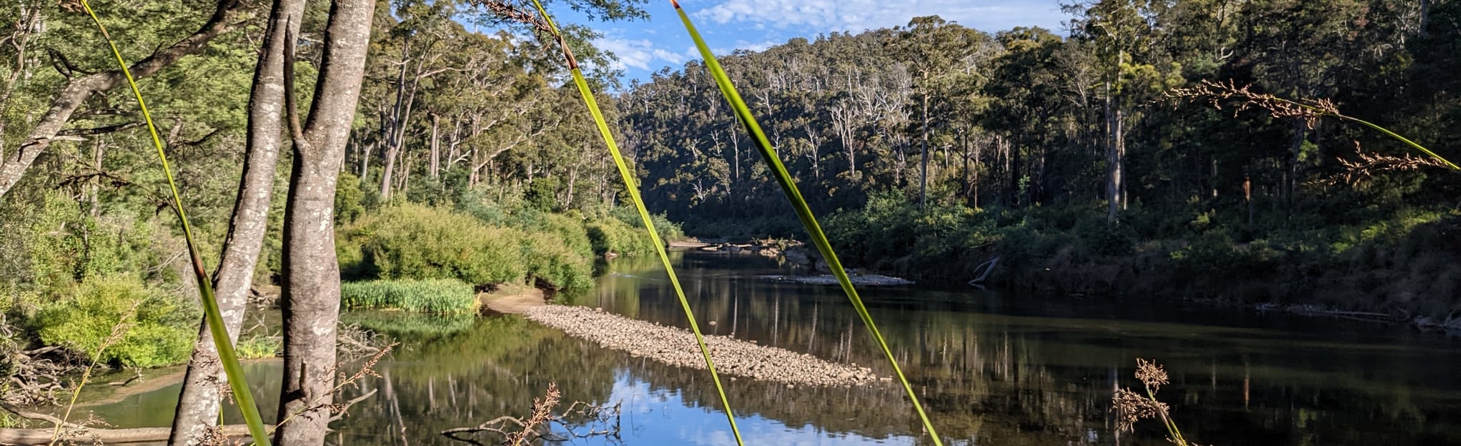 Warrawee Reserve Loop - Tasmania, Australia | AllTrails