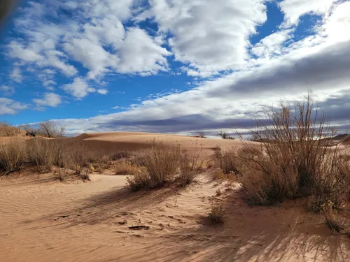 Best Hikes and Trails in White Wash Sand Dunes OHV Area | AllTrails