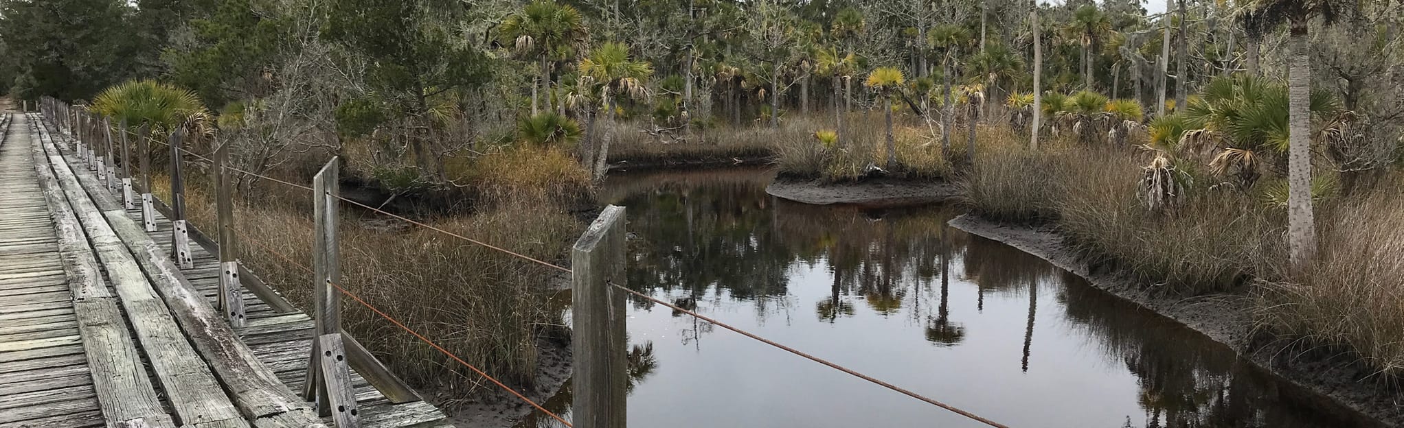 Mandalay Aucilla Pinhook River Paddle Route, Florida - 5 Reviews, Map ...