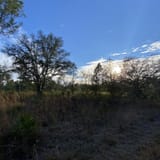 Green Swamp Wilderness Preserve Loop, Florida - 58 Reviews, Map | AllTrails