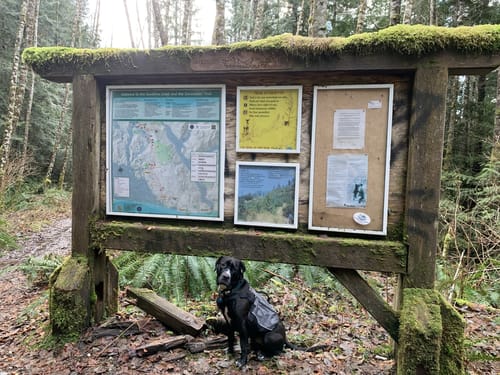 Best Hikes and Trails in Klein Lake Recreation Site | AllTrails