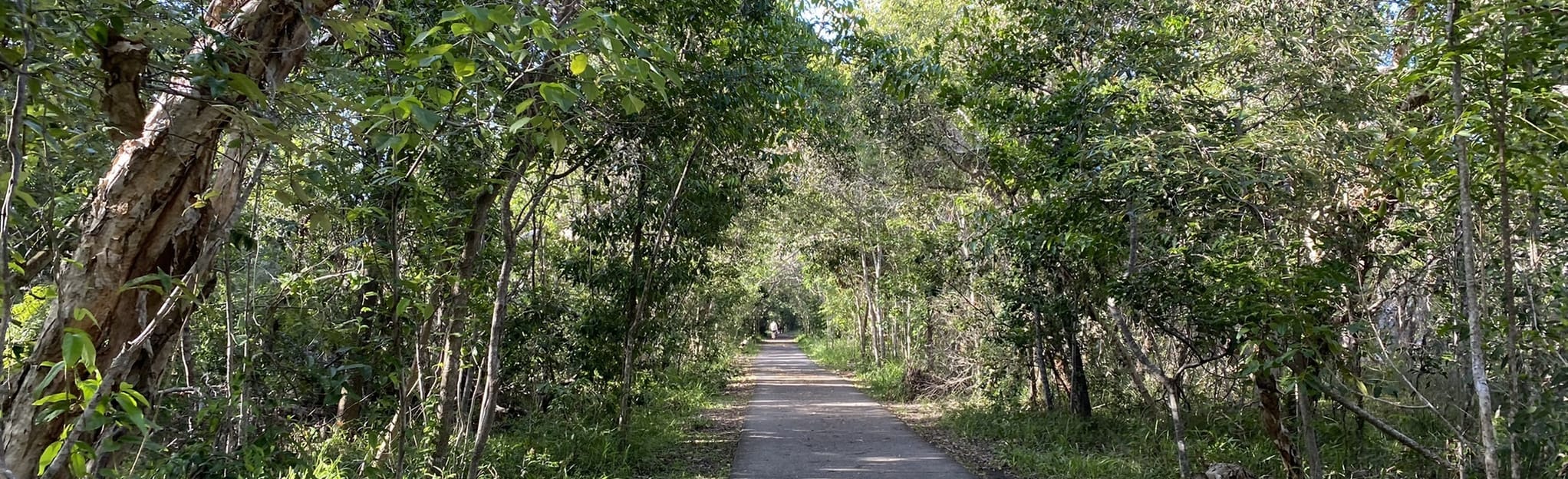 Marcoola Beach Short Loop, Queensland, Australia - 16 Reviews, Map ...