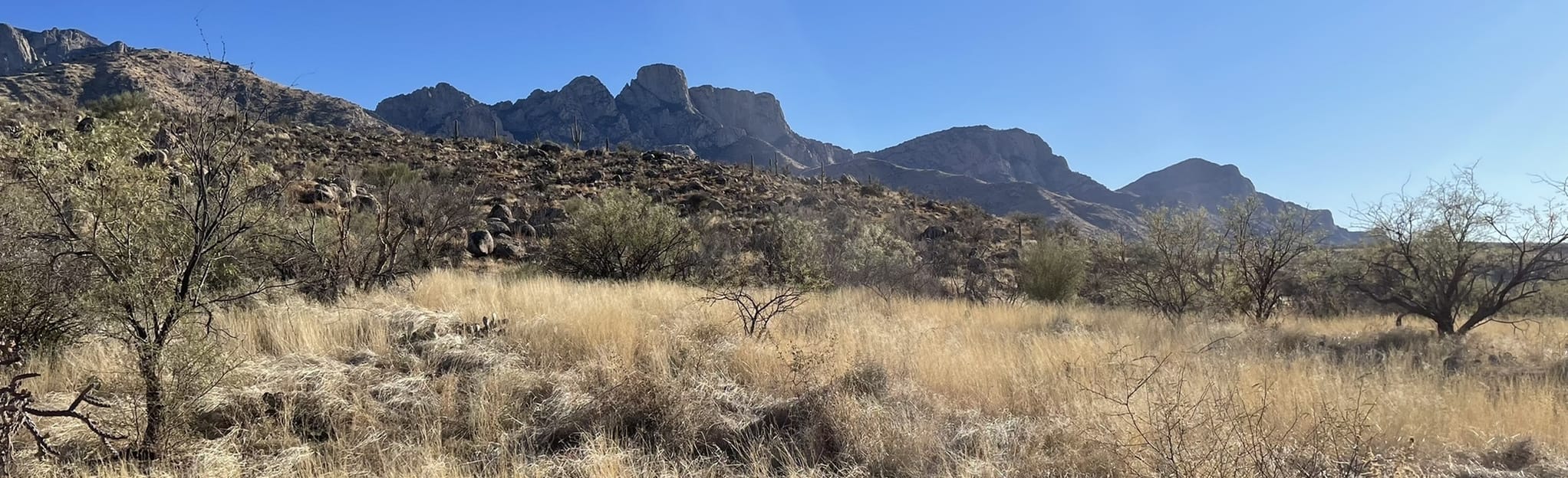 Romero Canyon Trail to Romero Pools, Arizona - 3,494 Reviews, Map ...