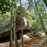 Waitui Falls, New South Wales, Australia - 12 Reviews, Map | AllTrails