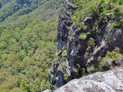 Best Hikes and Trails in Comboyne State Forest | AllTrails