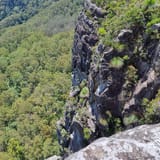 Waitui Falls, New South Wales, Australia - 12 Reviews, Map | AllTrails