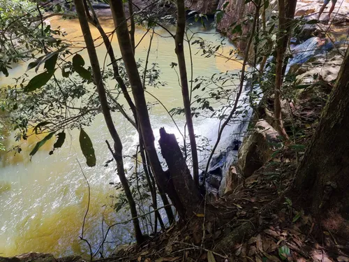 Best Hikes and Trails in Comboyne State Forest | AllTrails