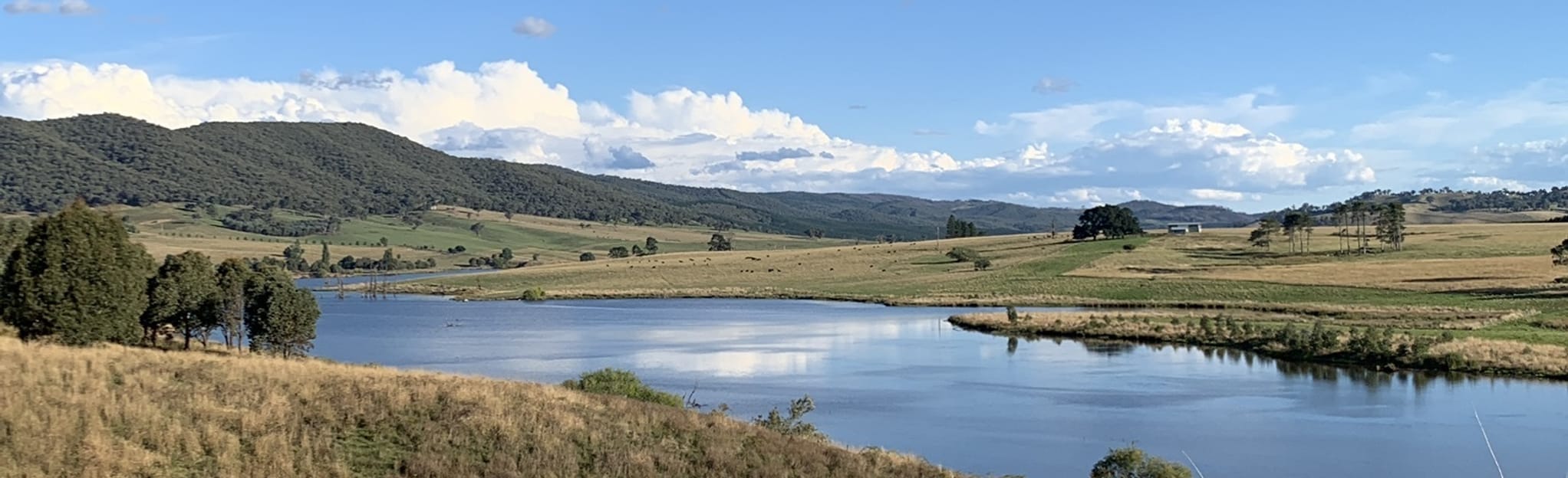 Lake Mannus Stroll, New South Wales, Australia - 2 Reviews, Map | AllTrails