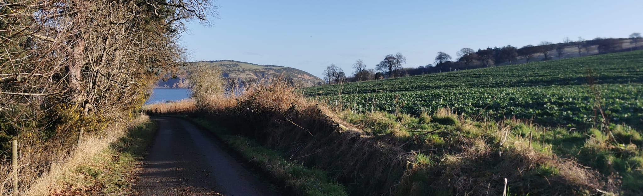 Cromarty Circular, Highlands, Scotland - 5 Reviews, Map | AllTrails