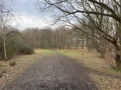 10 Best Trails, Walks, and Paths in Southampton | AllTrails